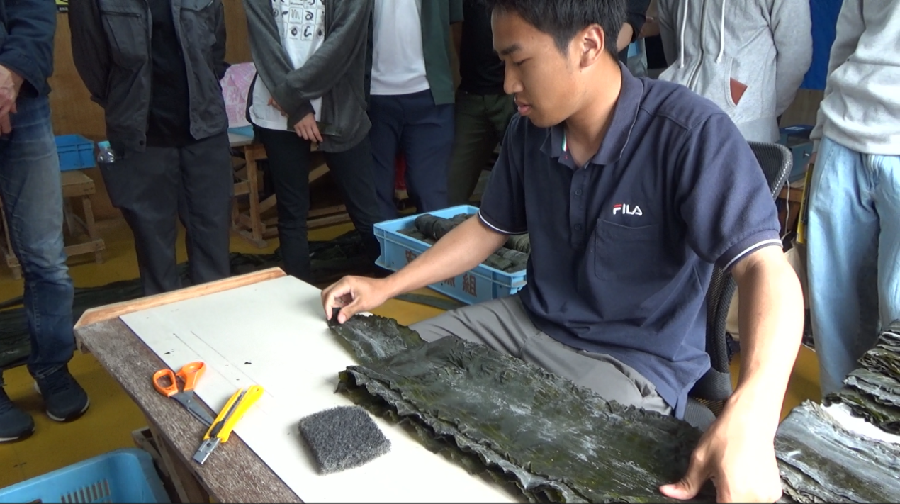 水産学演習第4回を実施（6月21日） - 地域水産業共創センター